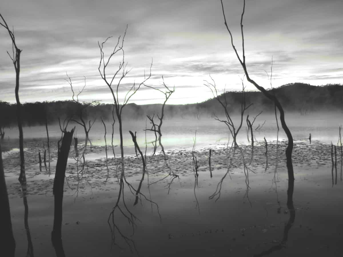 Crooked Timber - Crooked Timber