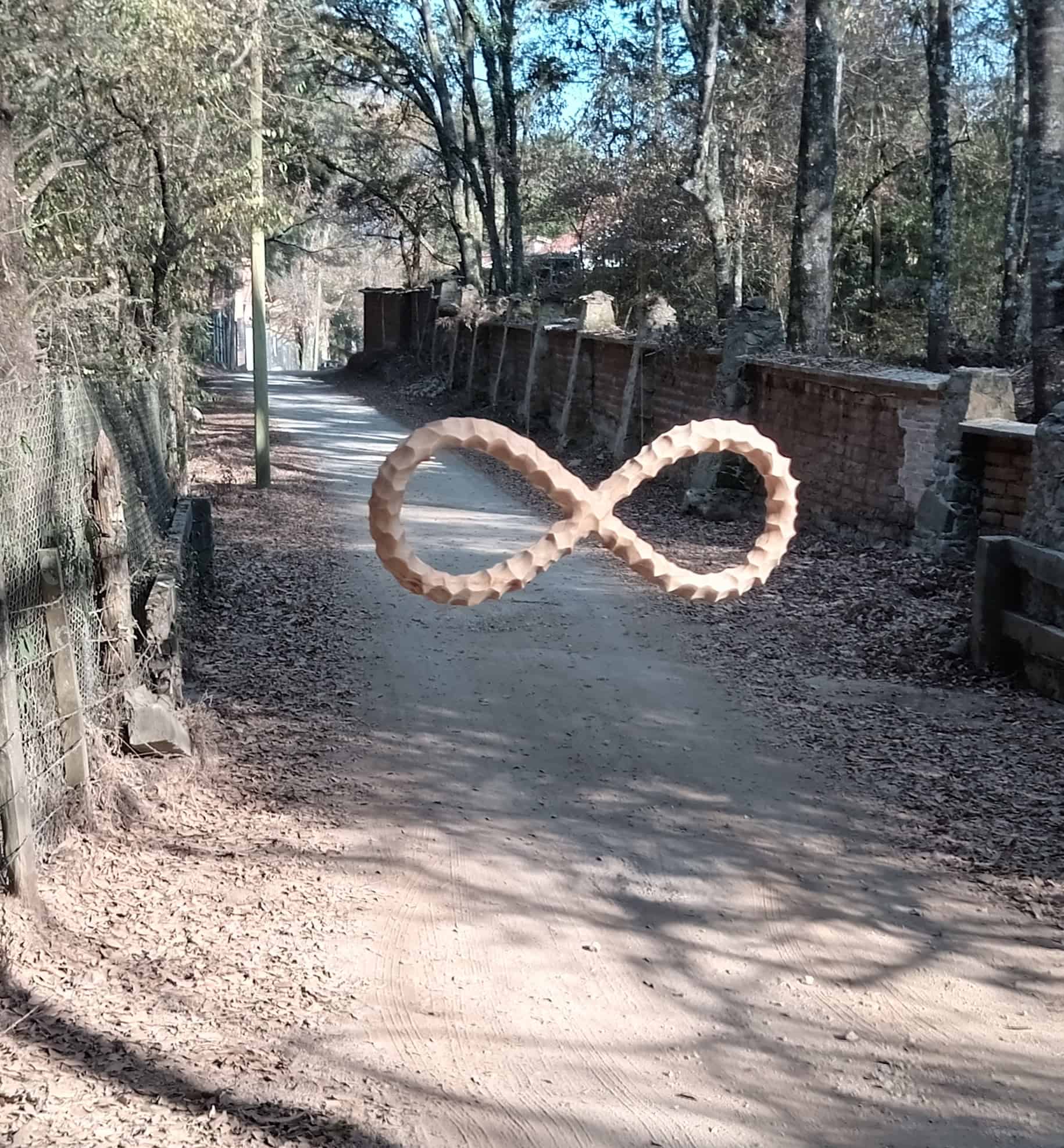 Sculpture - Crooked Timber